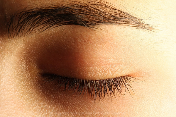 Closeup Of Woman Face With Closed Eye And Detailed Eyelashes - Boxist ...