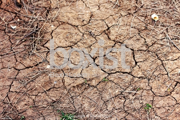 Dry Mud Ground - Boxist.com Photography / Sam Mugraby's Stock Photography