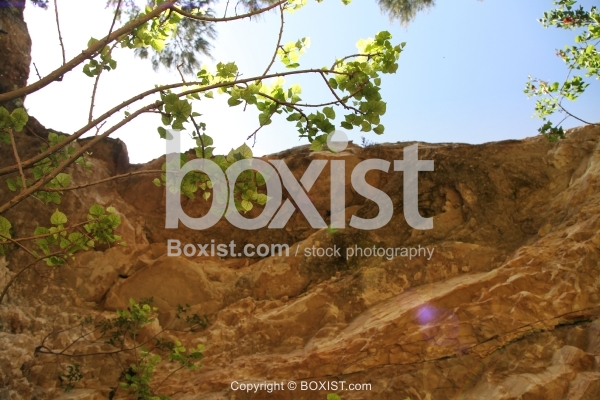 Cliff View From Bottom - Boxist.com Photography / Sam Mugraby's Stock ...