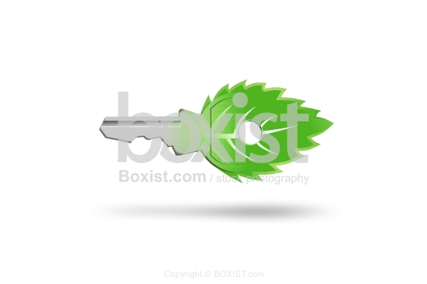 Green Key with Leaf - Boxist.com Photography / Sam Mugraby's Stock ...