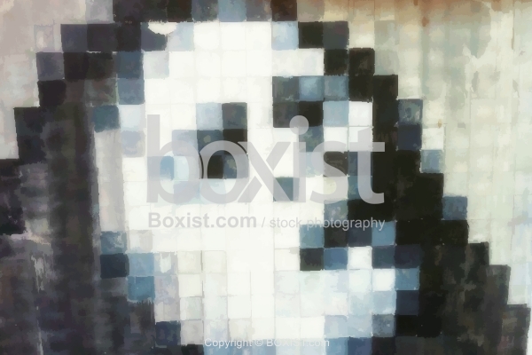 Pixelated Face - Boxist.com Photography / Sam Mugraby's Stock Photography