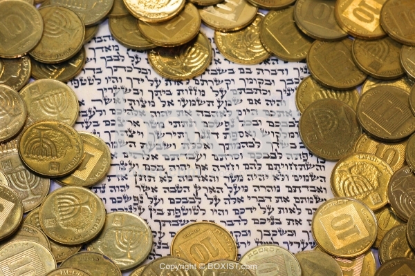 Golden Money Coins Over Hebrew Bible Script - Boxist.com Photography ...