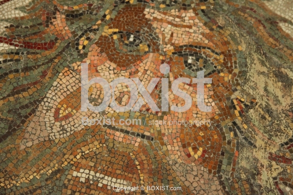 Closeup Head of the Ocean God Pontus Mosaic - Boxist.com Photography ...
