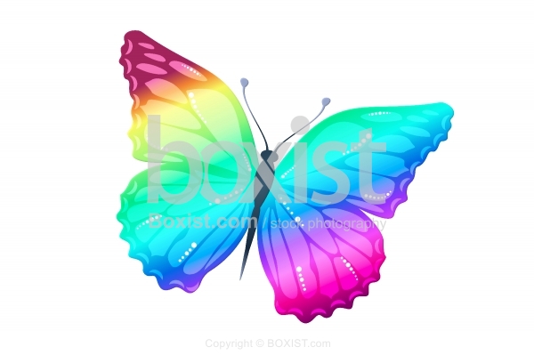 Colored Butterfly Design - Boxist.com Photography / Sam Mugraby's Stock ...