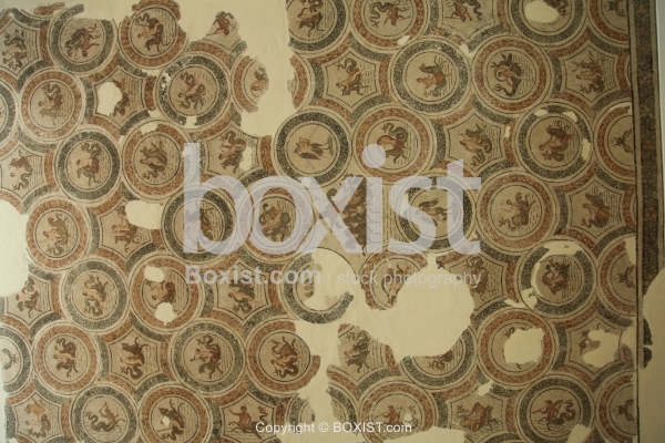 Giant Wall With Roman Mosaic In Bardo Museum - Boxist Photography / Sam ...