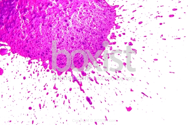 Purple Paint Colored Splatter - Boxist.com Photography / Sam Mugraby's ...