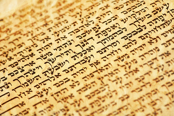 Jewish Page Written With Hebrew Calligraphy - Boxist.com Photography ...