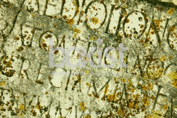 Ancient Roman Latin Script On Stone - Boxist.com Photography / Sam ...