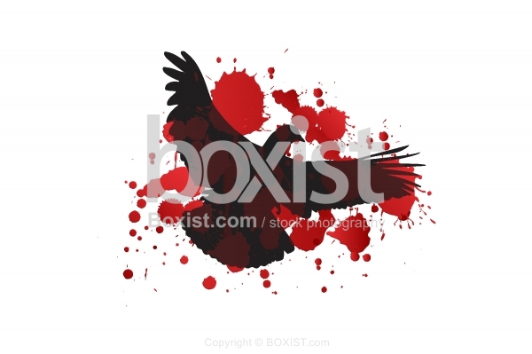 Blood On Peace Bird - Boxist.com Photography / Sam Mugraby's Stock ...